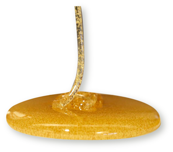 PRESS Cannabis – Everything start with PRESS